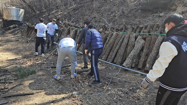 팀유짐, 경북 의성군 고운사 산불피해복구 봉사활동 참여